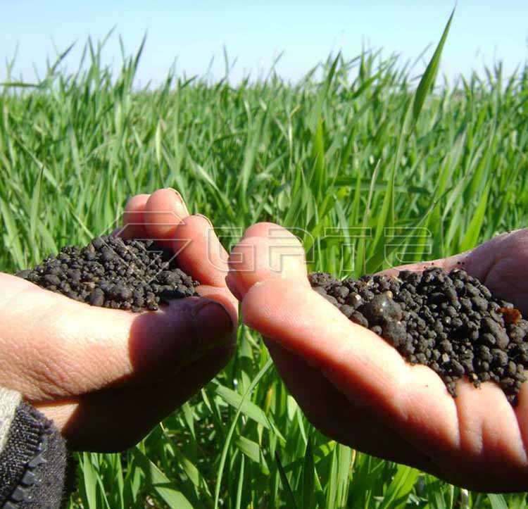 How to Turn the Food Waste into Valuable Organic Fertilizer?- Organic ...