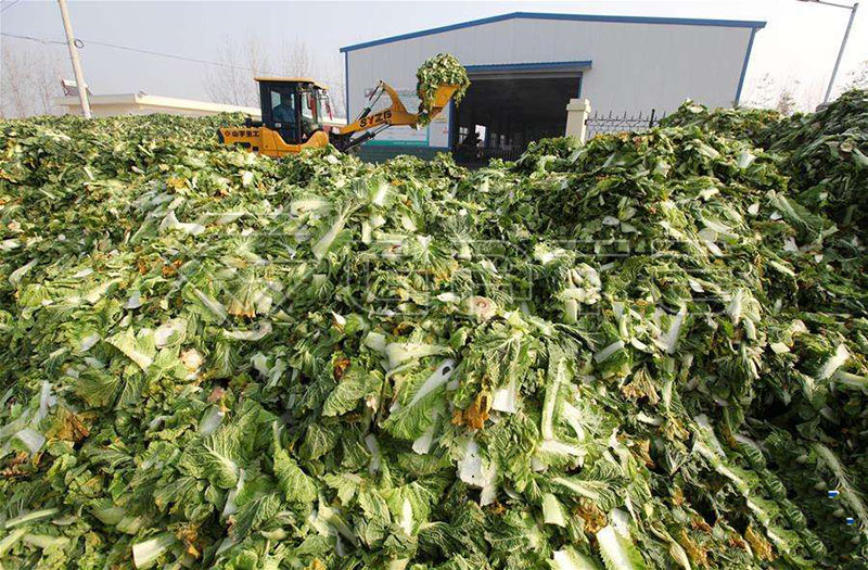 How to Turn City Lift Wastes and Vegetable Wastes into Fertilizers ...